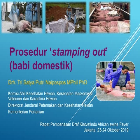 Posedur Stamping Out (Babi Domestik) - Jakarta, 24-25 Oktober 2019 | PDF