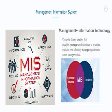 Management Information System | PPTX