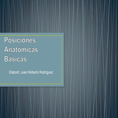 Posicion sedente | PPT