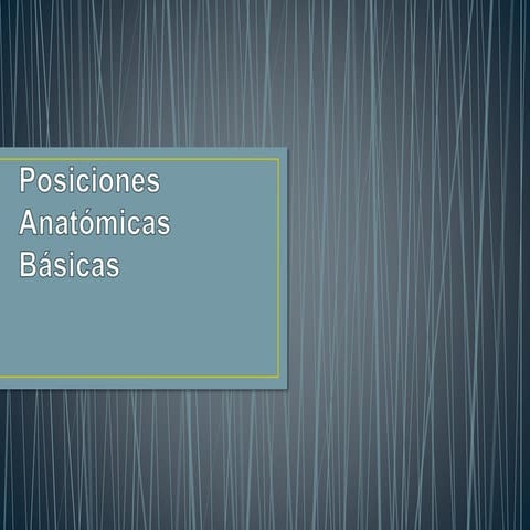 posiciones anatomicas basicas de enfermeria .pptx
