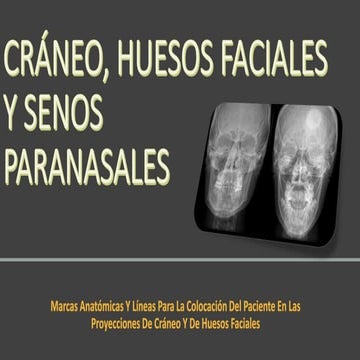 Proyeccion ap, lateral y oblicua del pie | PPTX