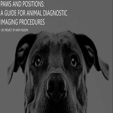 Positioning LRC - Radiology | PPTX