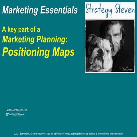 Positioning Maps -litt2021 | PDF