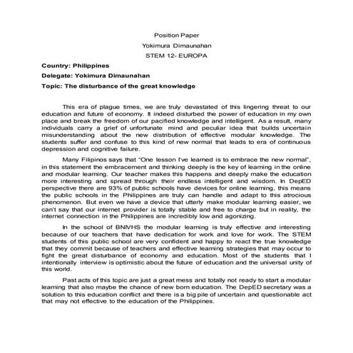 Position Paper (SAMPLE ONLY) | PDF
