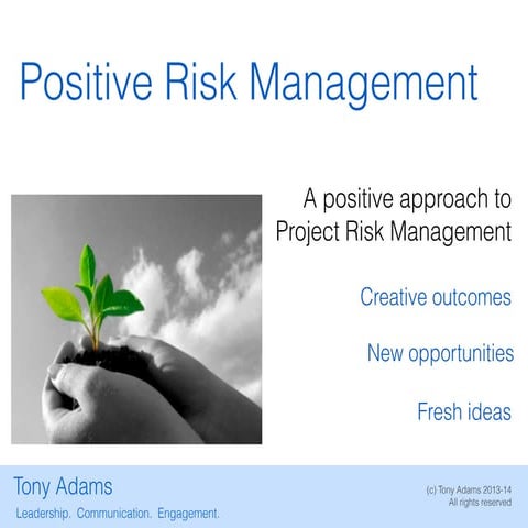 Positive Risk Management | PDF
