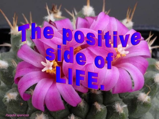 Positive side of_life | PPT