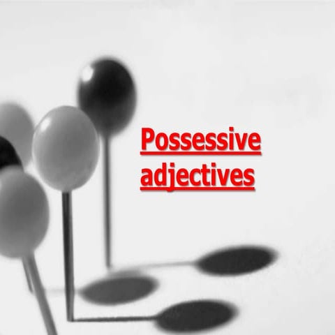 Possessive adjectives 1ro | PPT