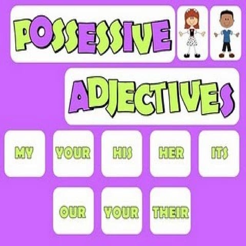 Possessive adjectives | PPT