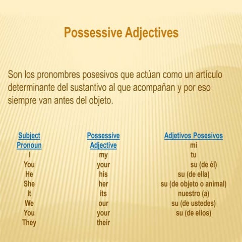 Possessive adjectives | PPT