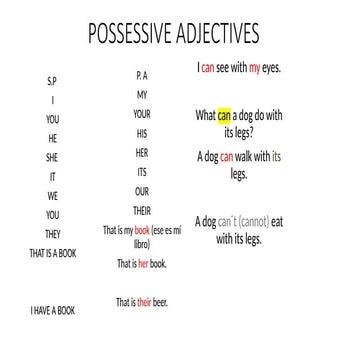 POSSESSIVE ADJECTIVES power point presentation | PPT