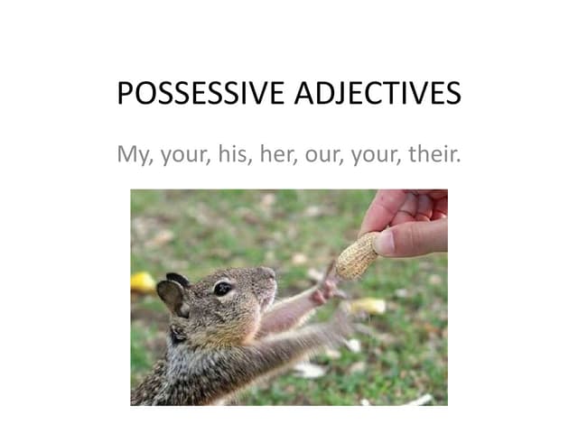 PRESENT SIMPLE TENSE..ppt