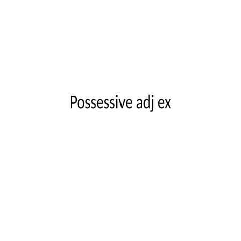 Possessive adj ex.pptx around us everywhere | PPTX