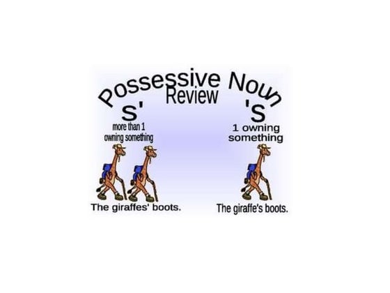 Exercise 5 possessive 's | PPT