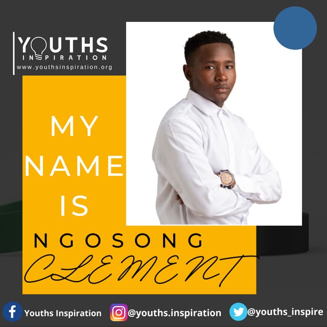 Profile Summary | PDF | Secondary Education | Education