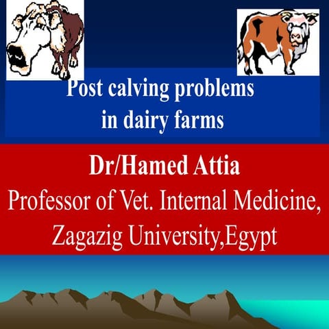 Post calving problems in dairy farms prof.hamed attia | PDF