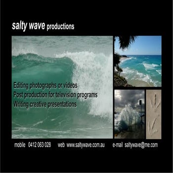 Salty Wave 2012 | PDF