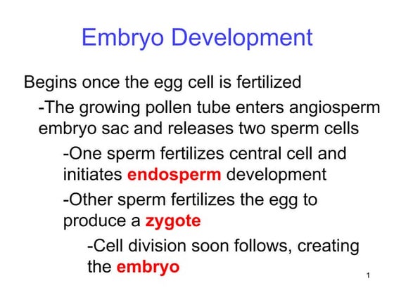 Plant embryo development | PPTX | Infertility | Reproductive Health