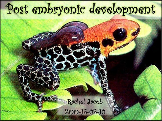 Metamorphosis-amphibians, hormonal control | PPTX