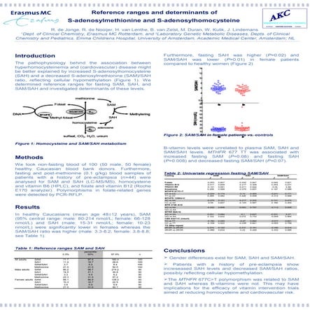 Poster SAM/SAH | PDF