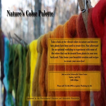 Natural Dyes Poster | PDF