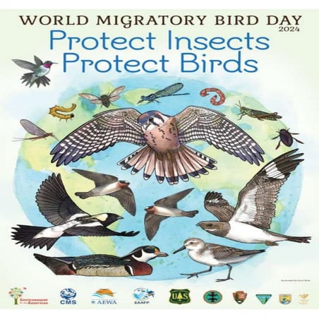 Protect Insects, Protect Birds - World Migratory Bird Day | PDF