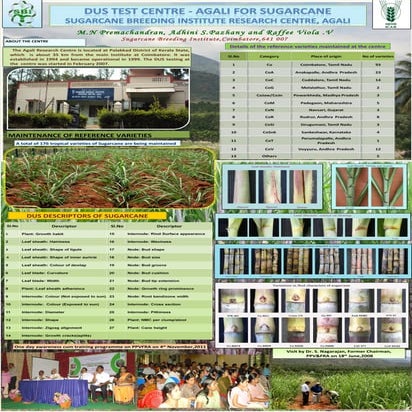 Poster agali 16.5.12 final1 | PPT
