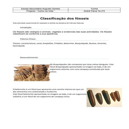 Poster classificação de fosseis | ODT
