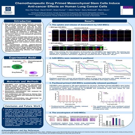 Chemotherapeutic Drug Primed Stem Cells | PDF