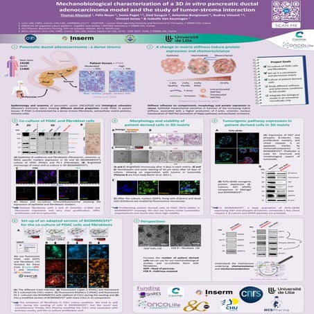 Poster HCSPHARMA (OncoLilleDays2022) - Mechanobiological ...