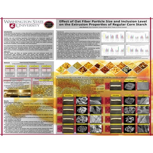 Undergraduate Research Poster | PDF