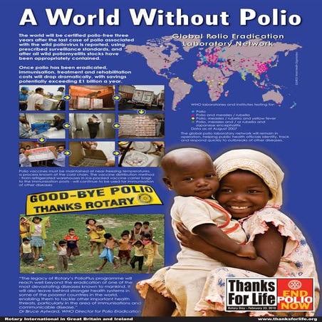 The Polio Problem - Poster | PDF
