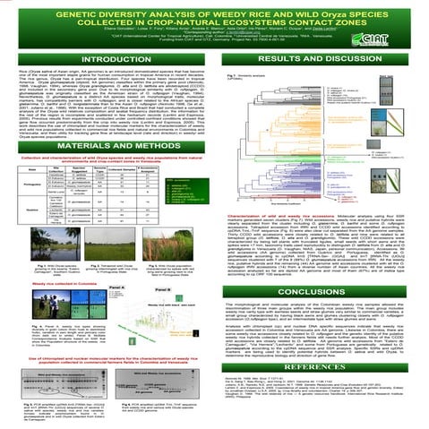 Poster28: Genetic diversity analysis of weedy rice and wild Oryza ...