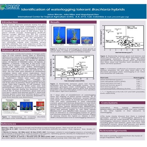 Poster59: Identification of waterlogging tolerant Brachiaria hybrids | PDF | Gardening | Home ...