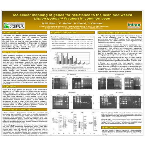 Poster62: Molecular mapping of genes for resistance to the bean pod ...