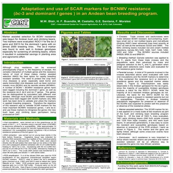 Poster63: Adaptation and use of SCAR markers for BCNMV resistance (bc-3 ...