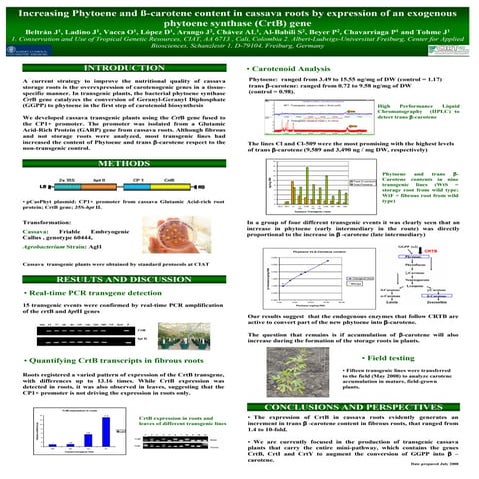 Poster67: Increasing Phytoene and B-carotene content in cassava roots ...