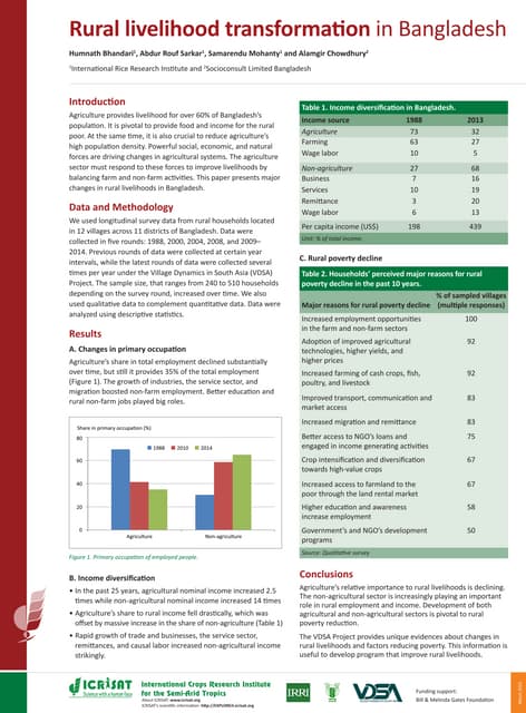 A Guide to the Livelihoods Framework | PPTX