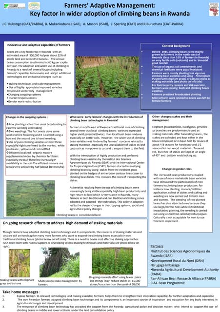 An Assessment of the Merits of Rainfed Maize-legume Cropping Systems under Conservation ...