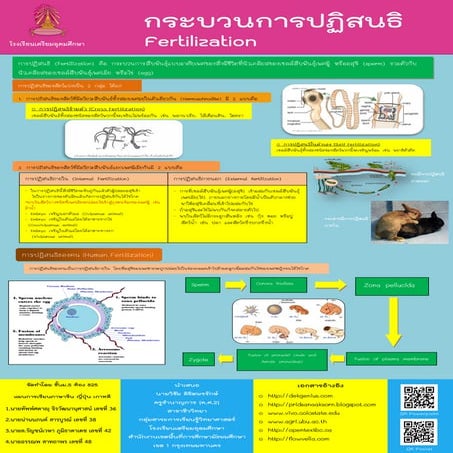 Fertilization 833 g 7 | PDF