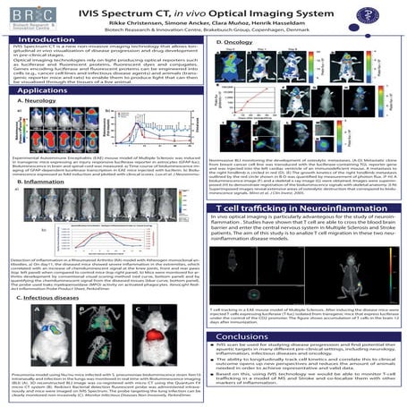 Poster for Biomedical Institute day | PDF