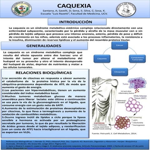CAQUEXIA | PPTX