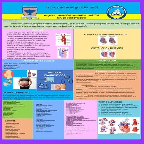 RN com suspeita de cardiopatia | PDF