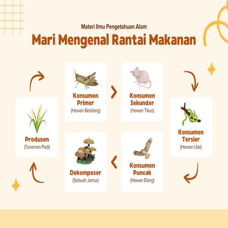 Poster Coklat dan Kuning Tema Mengenal Rantai Makanan Gaya Ilustratif ...