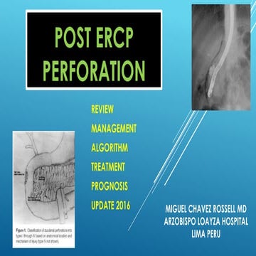 Post ercp perforation 2016 | PDF