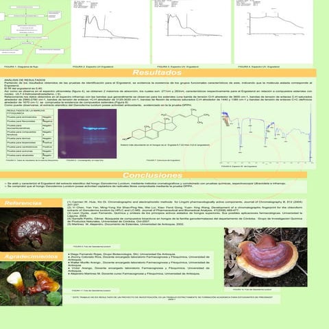 Poster de fito | PPT