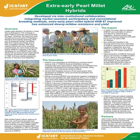Extra-early pearl millet hybrids | PDF