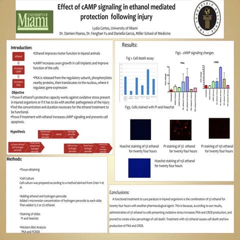 Poster summer miami | PPT