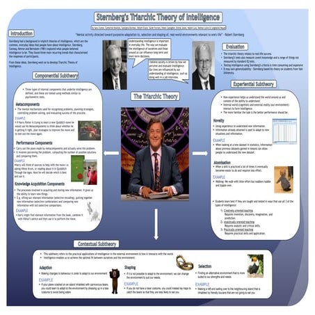 Sternberg Poster | PDF