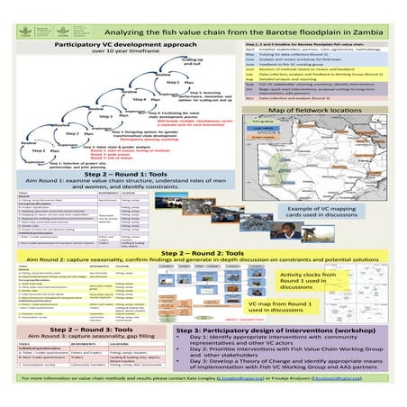 Analyzing the fish value chain from the Barotse floodplain in Zambia | PDF