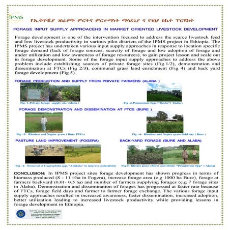 Forage input supply approaches in market oriented livestock development ...